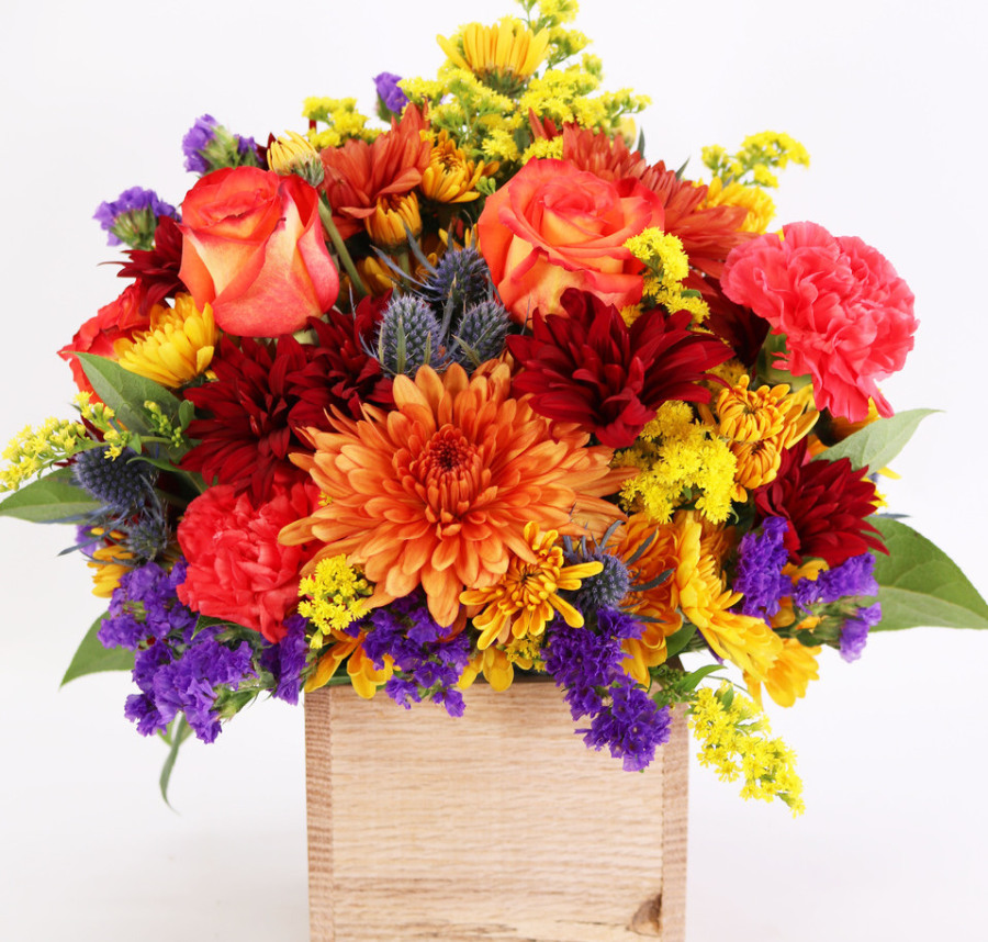 Busy Bee Florist and Gifts - Home